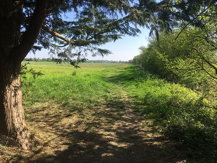 Corporate Walks - Goode Walks - Team bonding for your staff