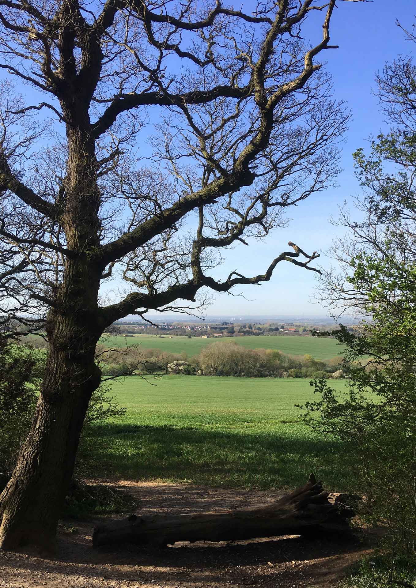 Wellbeing Walks - Goode Walks - For physical & mental health