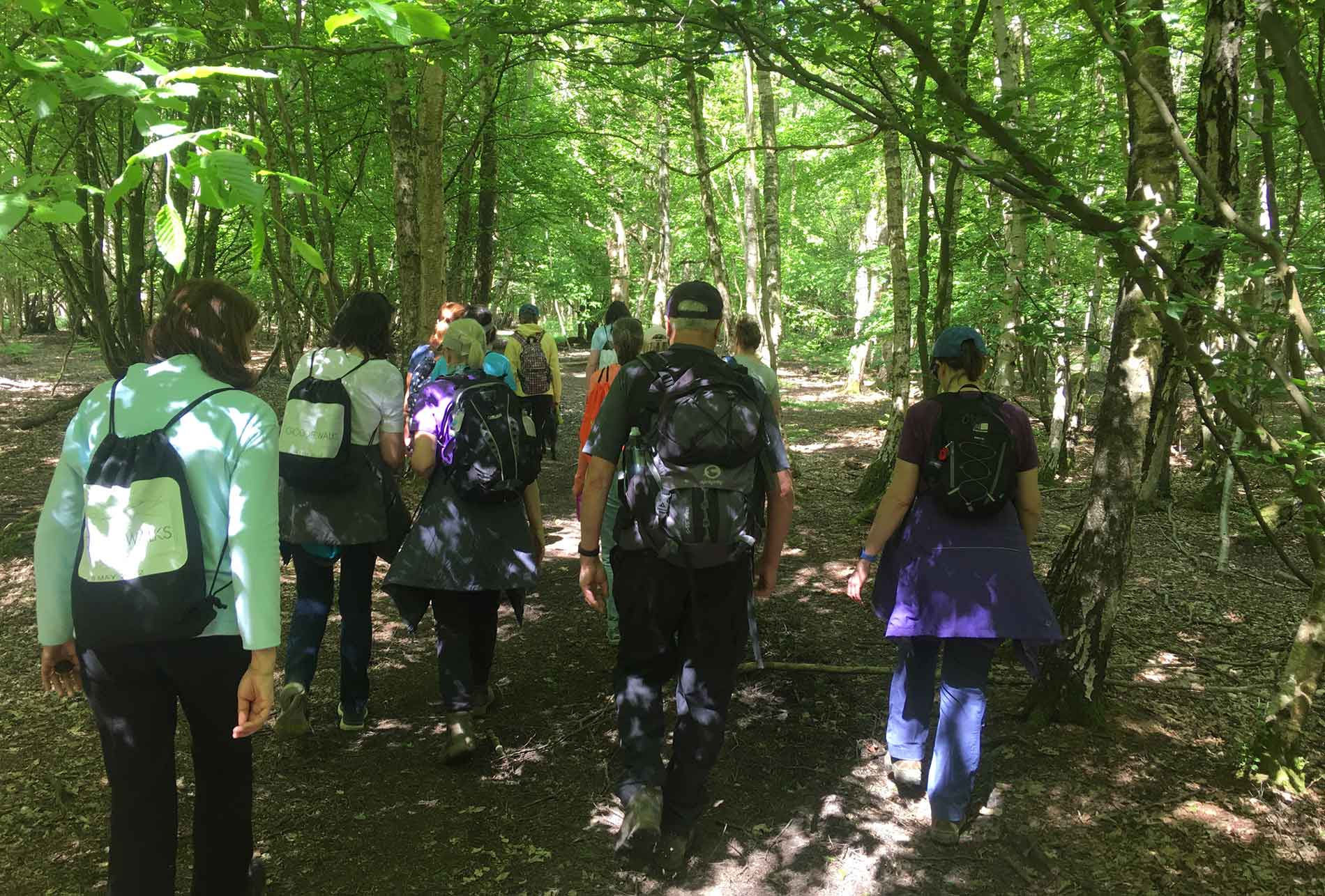 Event Walks - Goode Walks - Book tickets for future walks